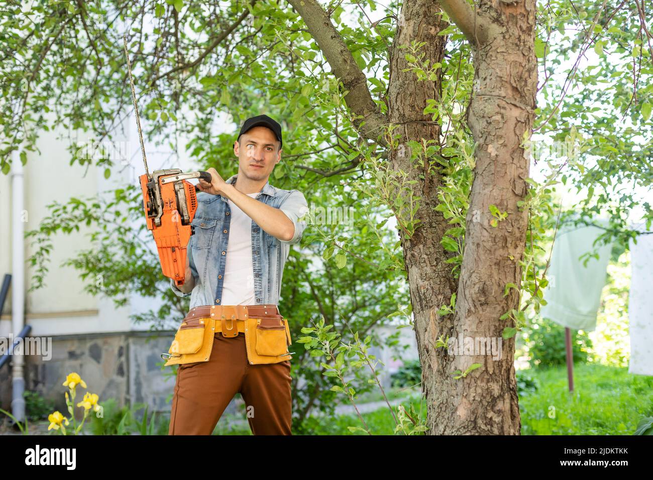 a man with a chainsaw. removes plantings in the garden from old trees ...