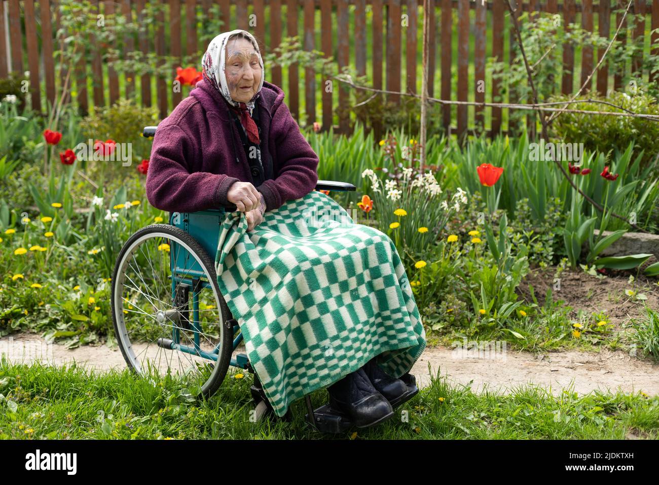 very old woman in a wheelchair Stock Photo - Alamy