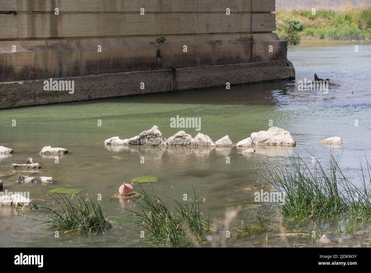 Rome, Italy. 21st June, 2022. ** NO WEB AND NEWSPAPERS ONLY FOR ITALY ...