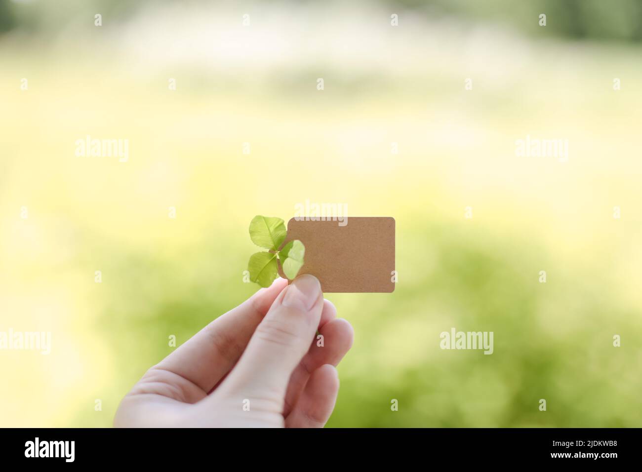 Hand holding blank paper card isolated on nature background. Summer ...