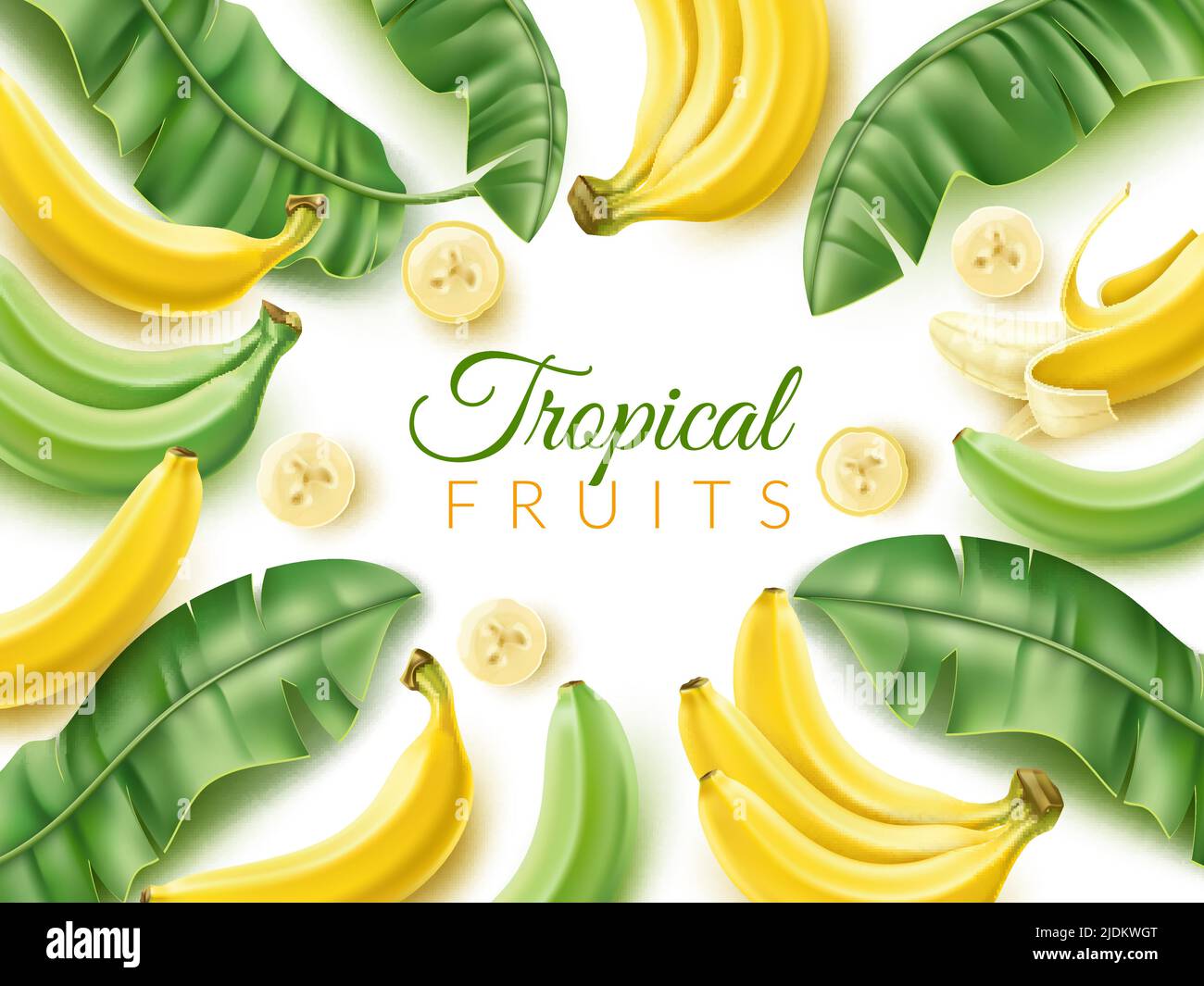 Realistic banana frame. Tropical fruit poster with pieces and green ...