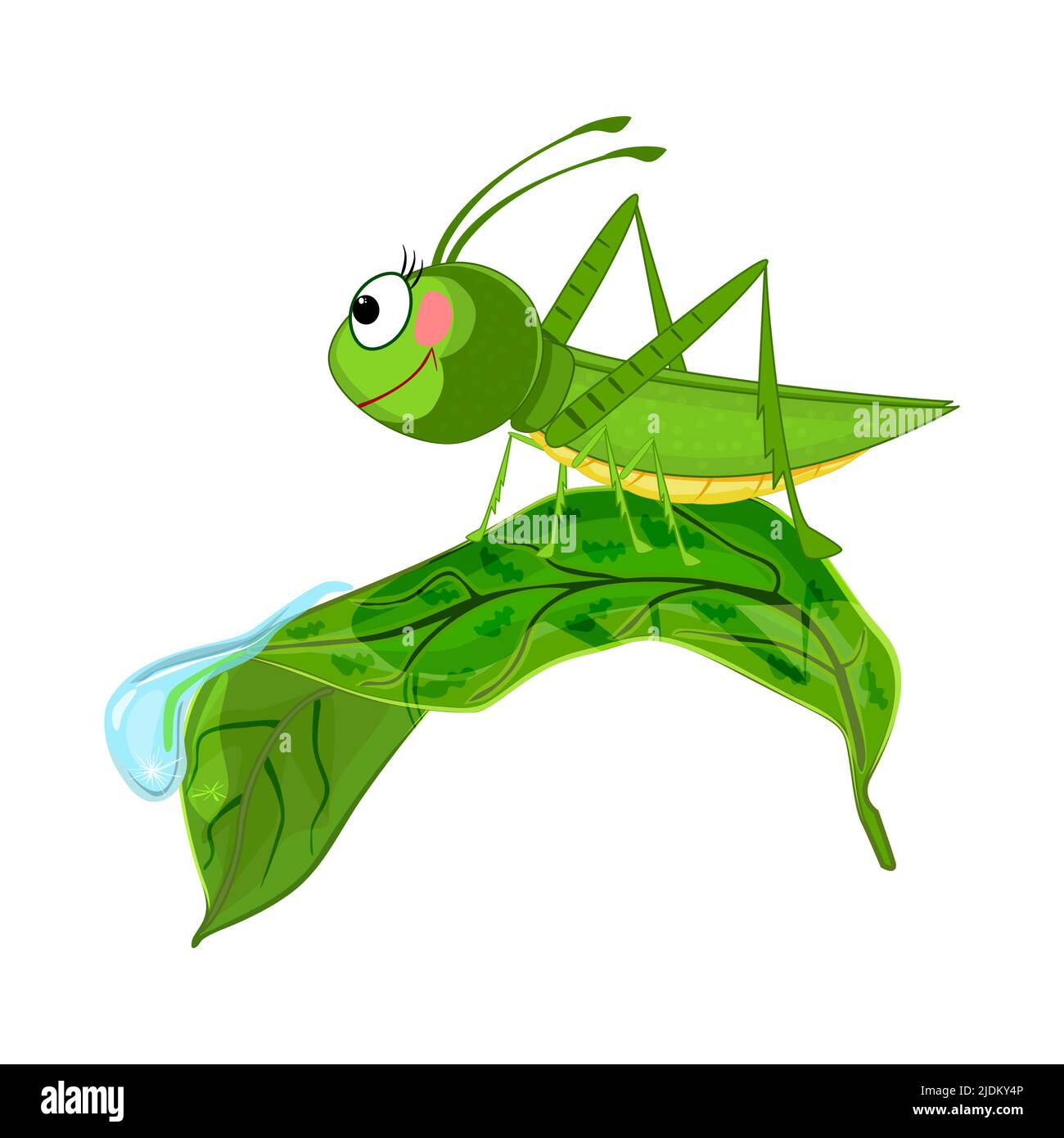 Grasshopper on leaf. Cute cartoon locust on leaves with dew drop. Funny ...