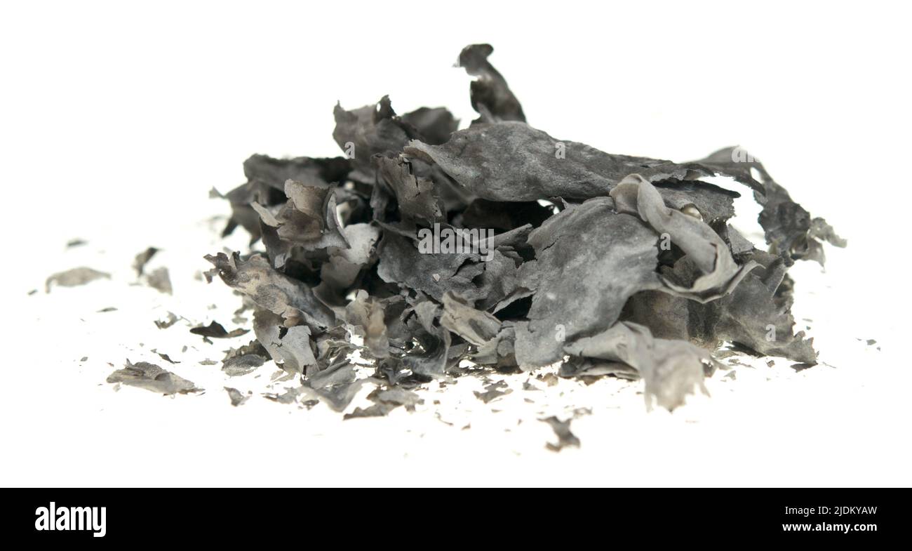 Ash isolated on white background Stock Photo - Alamy