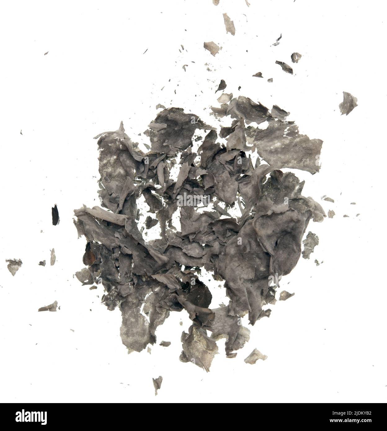 Ash isolated on white background Stock Photo - Alamy