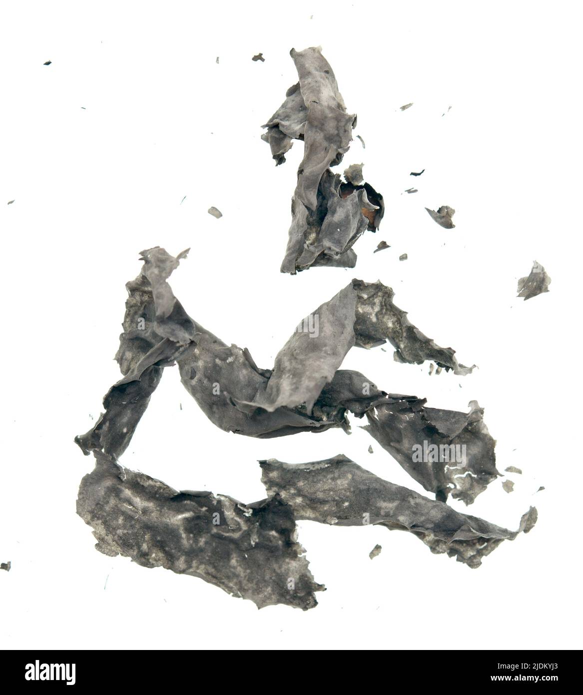 Ash isolated on white background Stock Photo - Alamy