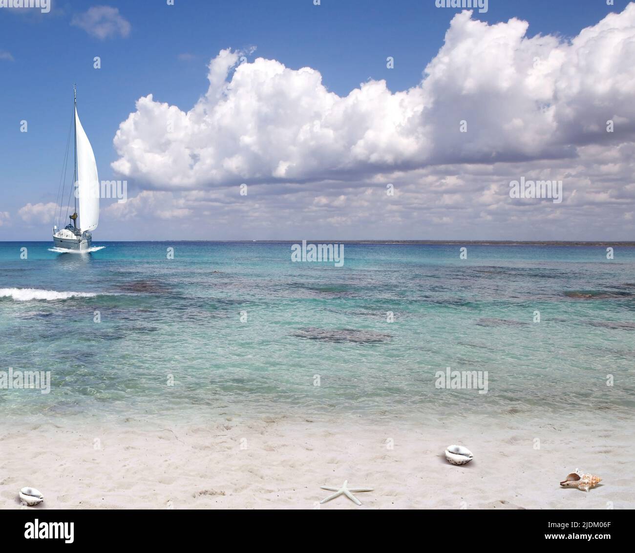 Tropical beach with shells and sailing boat with sky and clouds in the ...