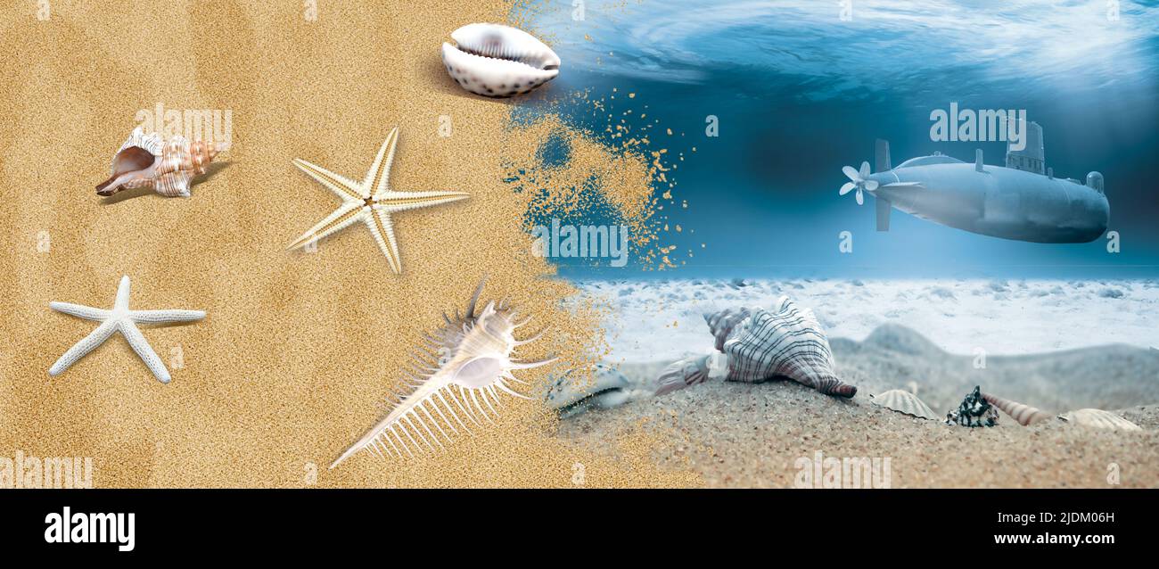Beach and shells with underwater with submarine shells and sand Stock ...