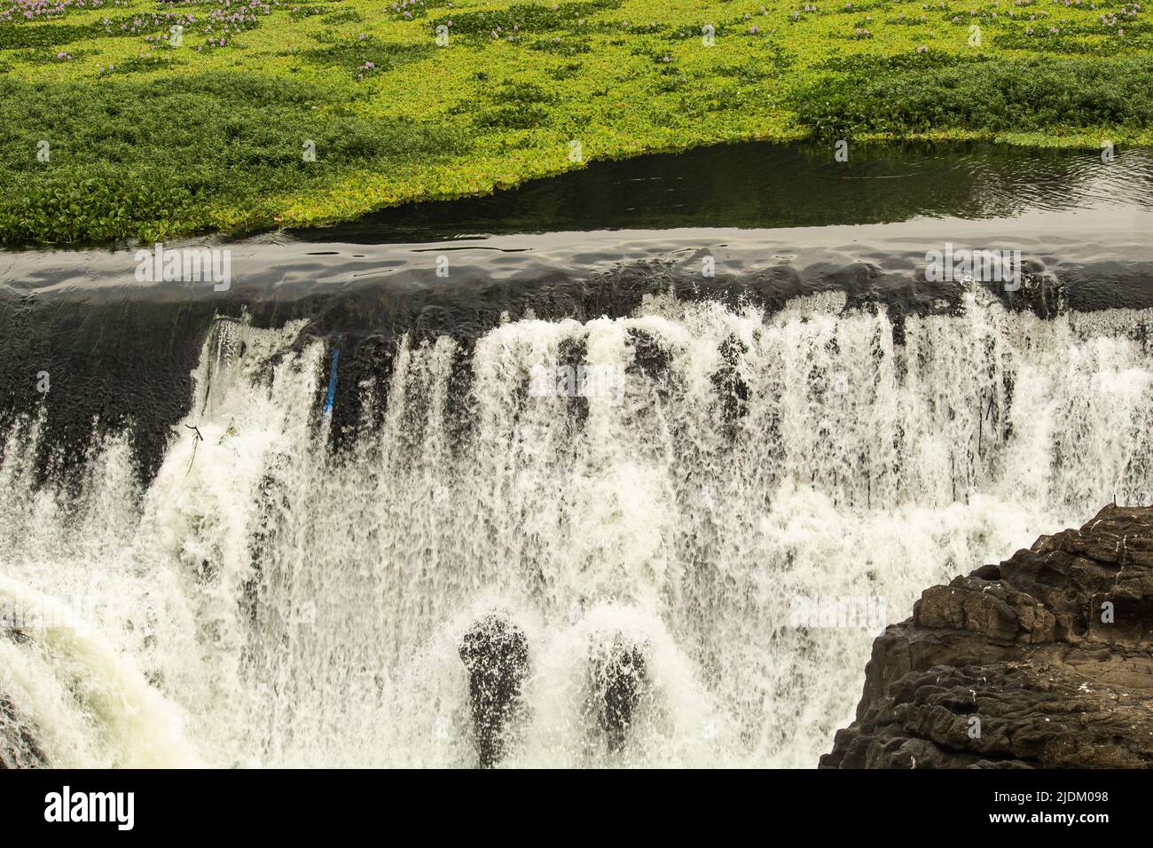 iron bridge on the river, green, waterfall Stock Photo - Alamy