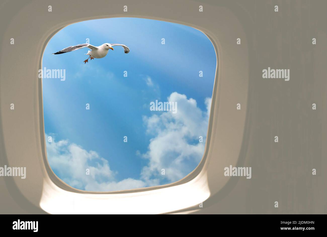 Looking outside the airplane window during the landing Stock Photo - Alamy