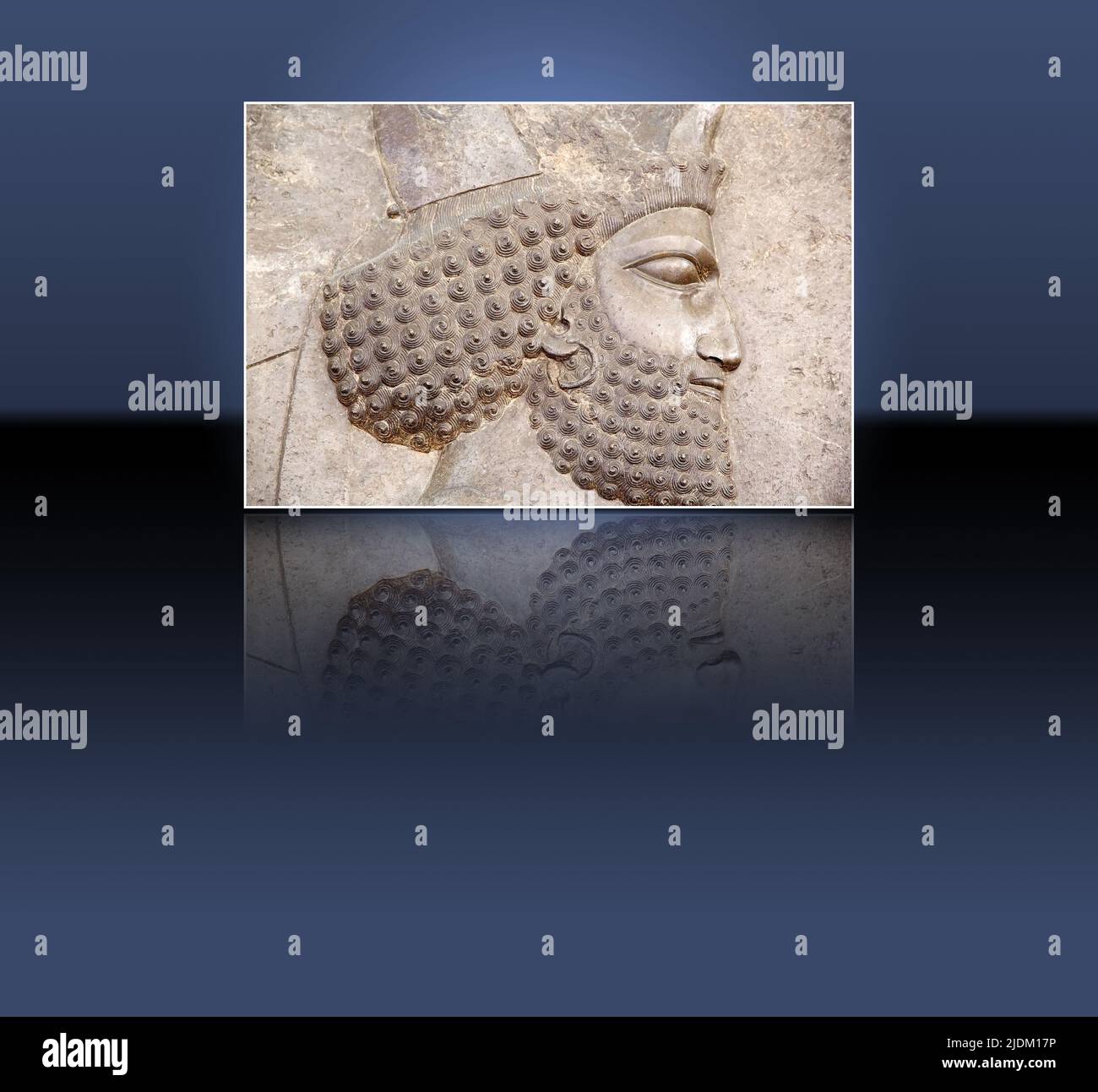 Human head and reflection from a frieze of tale from the Apadana Palace ...