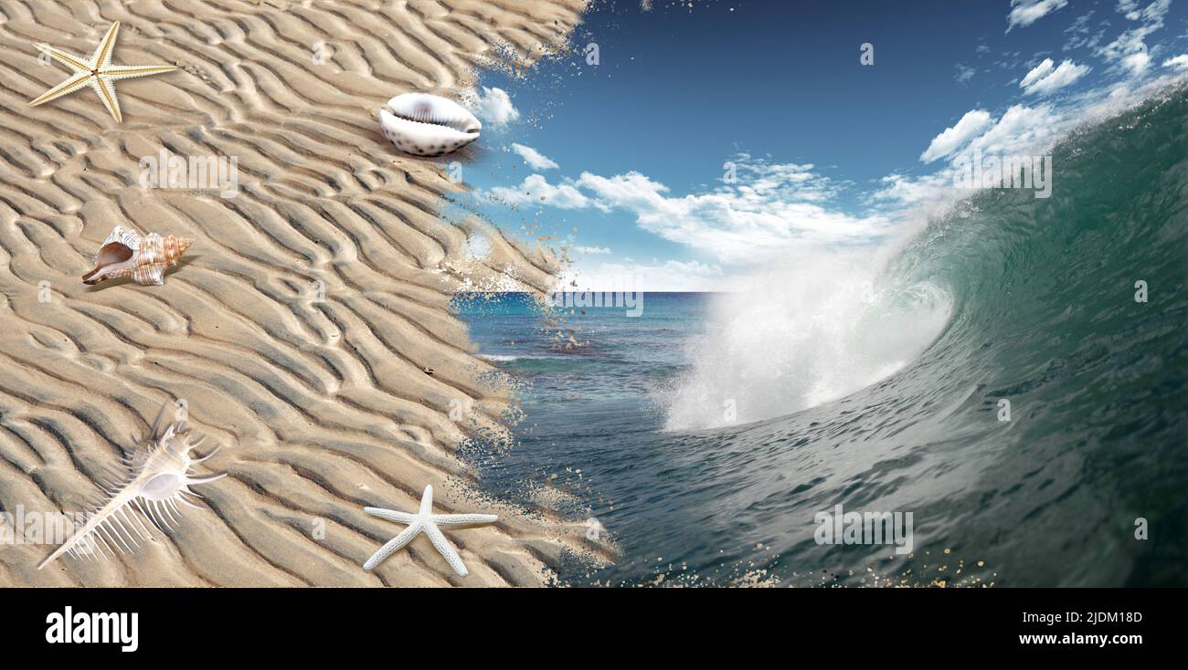 Sand beach and shells with ocean wave in the background Stock Photo - Alamy