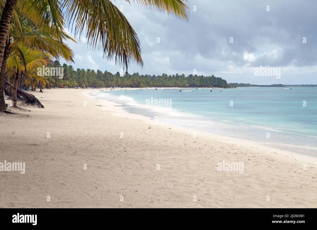 Saona island beach, Dominican Republic, with white sand and palm trees ...