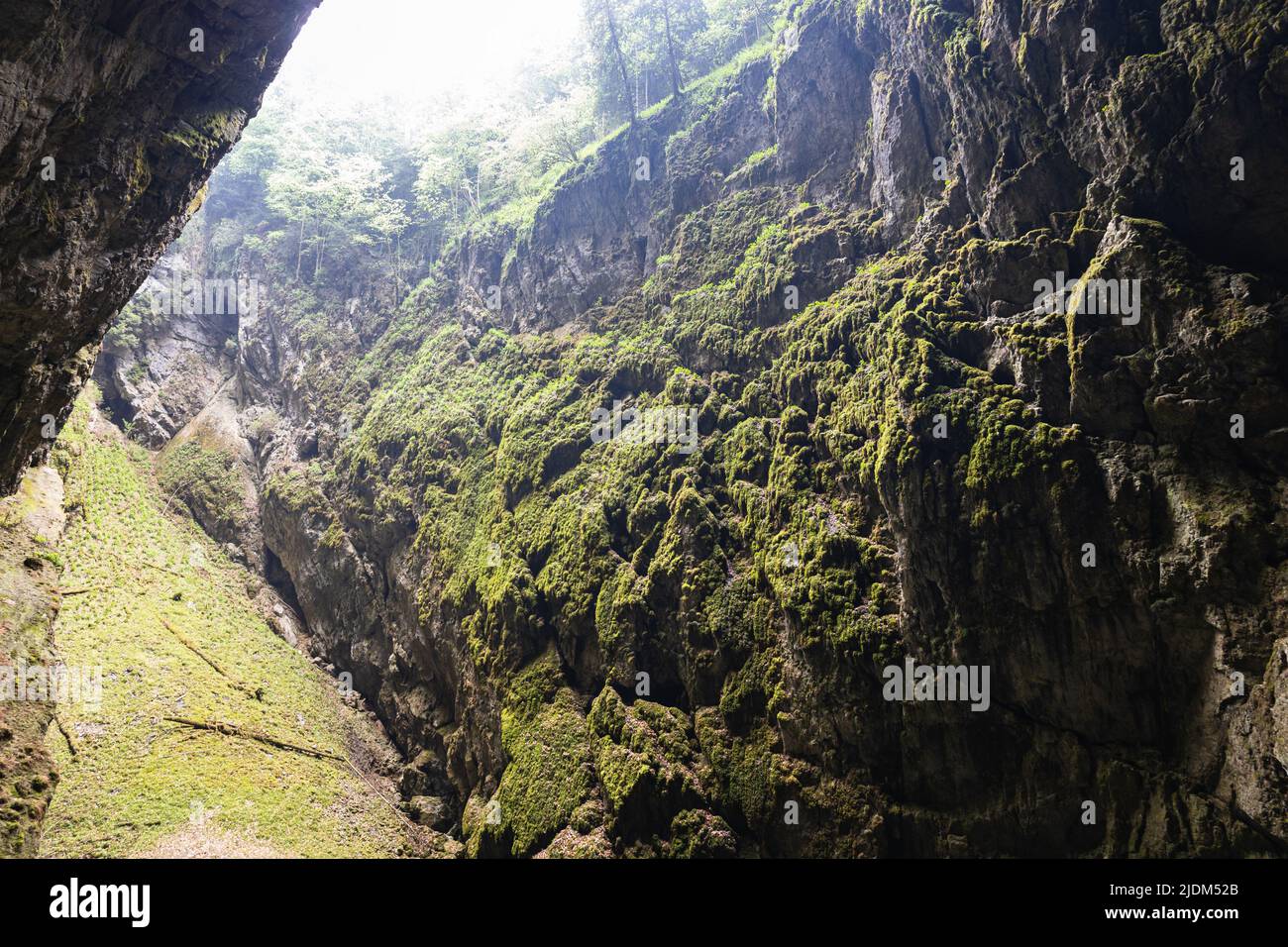 Macocha Gorge or Macocha Abyss. Sinkhole in the Moravian Karst Punkva ...