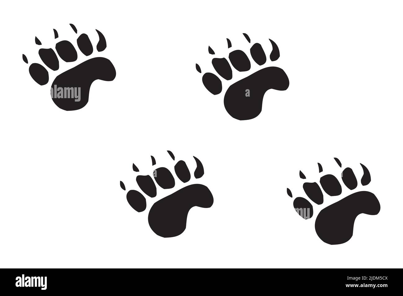 Bear footprint hi-res stock photography and images - Alamy
