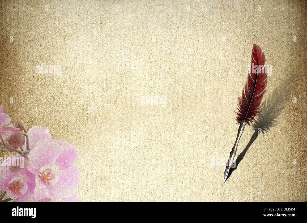 Old paper with flowers Stock Photo - Alamy