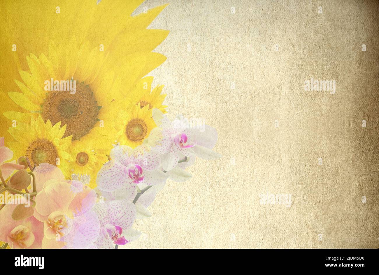 Old paper with flowers Stock Photo - Alamy