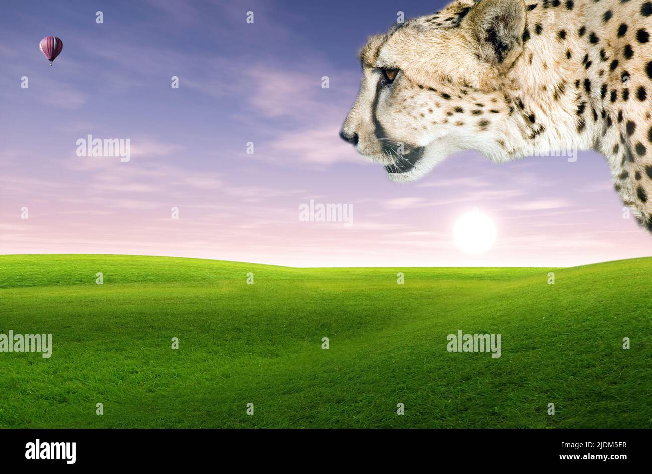 Balloon hunting hi-res stock photography and images - Alamy