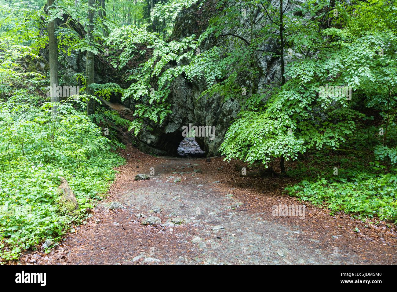 Rock formation near Punkva caves in the Moravian Karst, Czech Republic ...