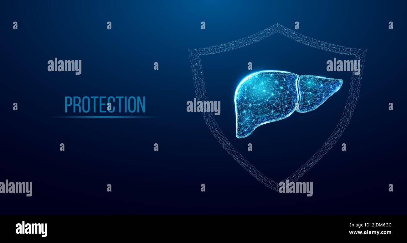 Human liver protection. Wireframe low poly style. Concept for medical ...