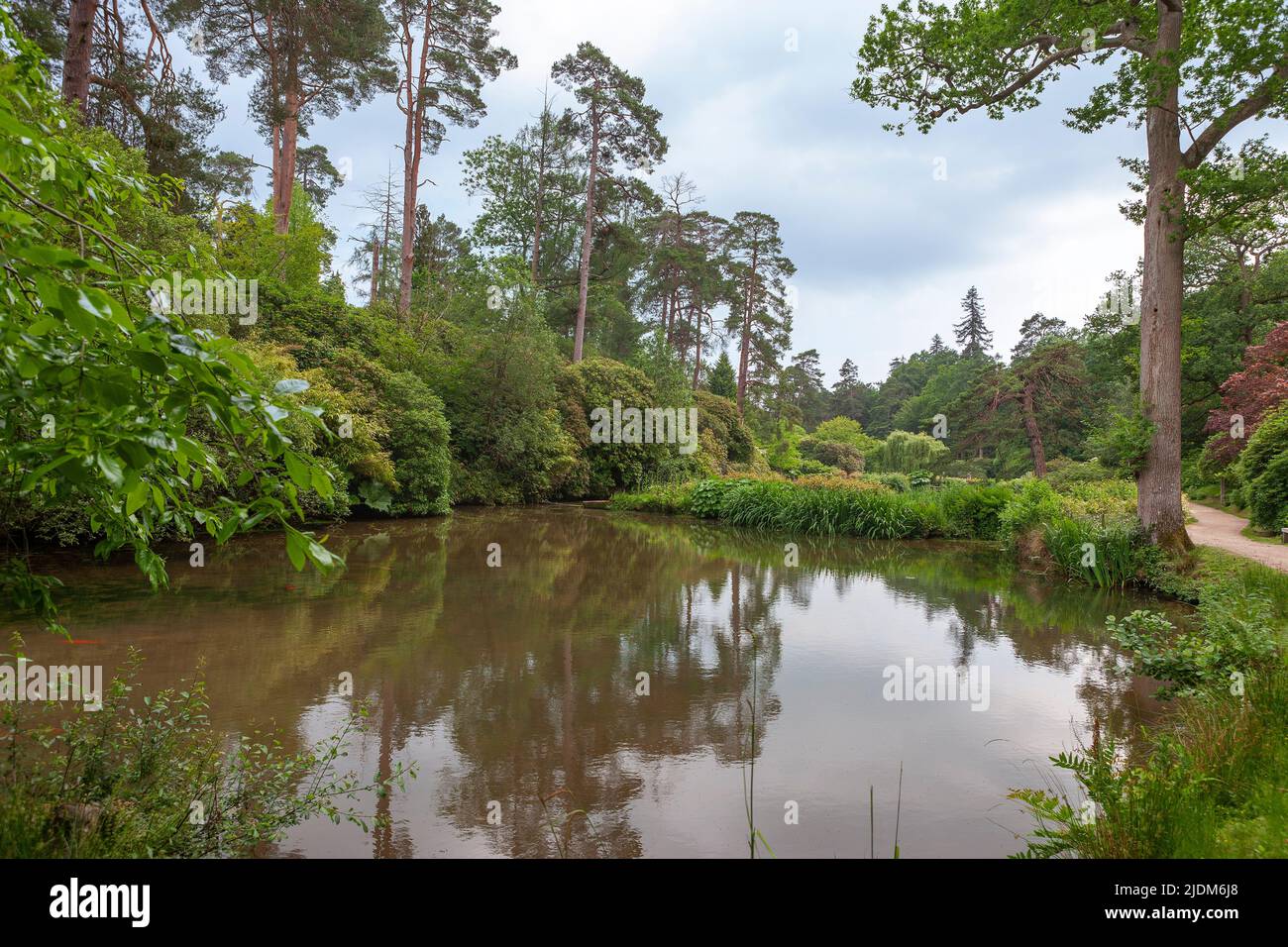 Garden gardens pond ponds hi-res stock photography and images - Alamy