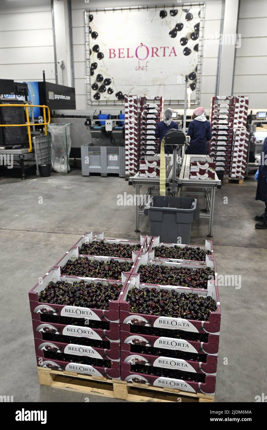 Belorta hi-res stock photography and images - Alamy