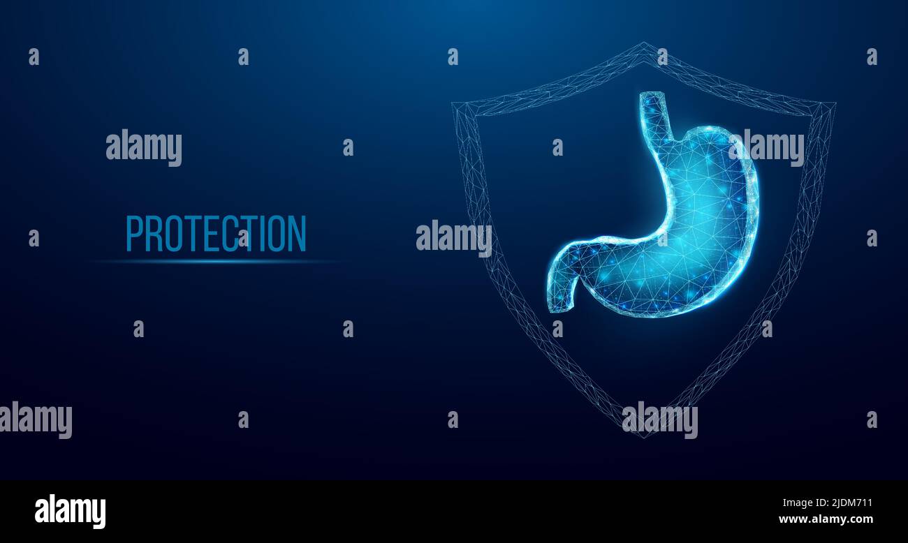 Human stomach protection. Wireframe low poly style. Concept for medical ...