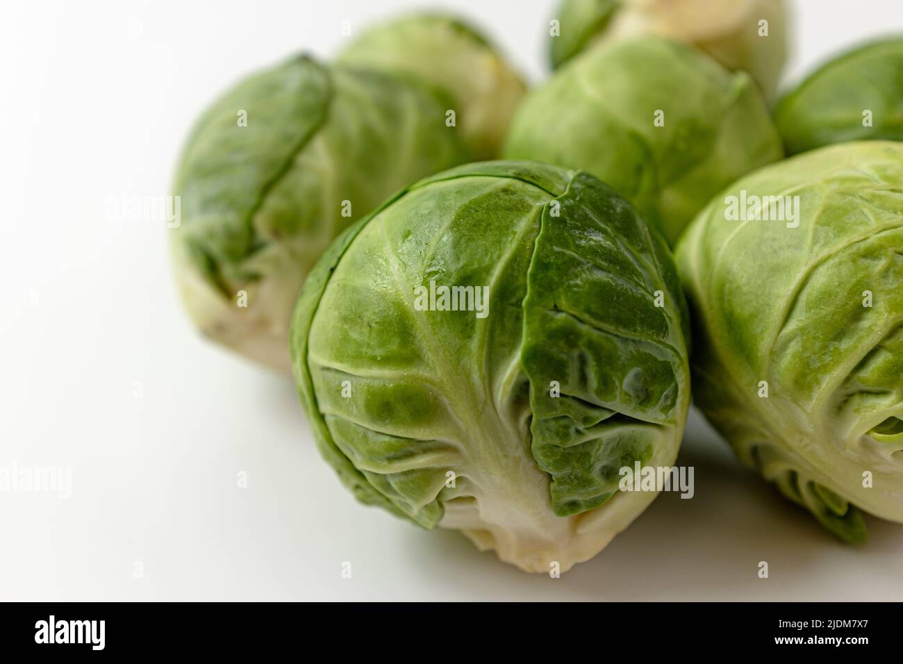 Mini Cabbage Brussels Sprouts on White Background Stock Photo - Alamy