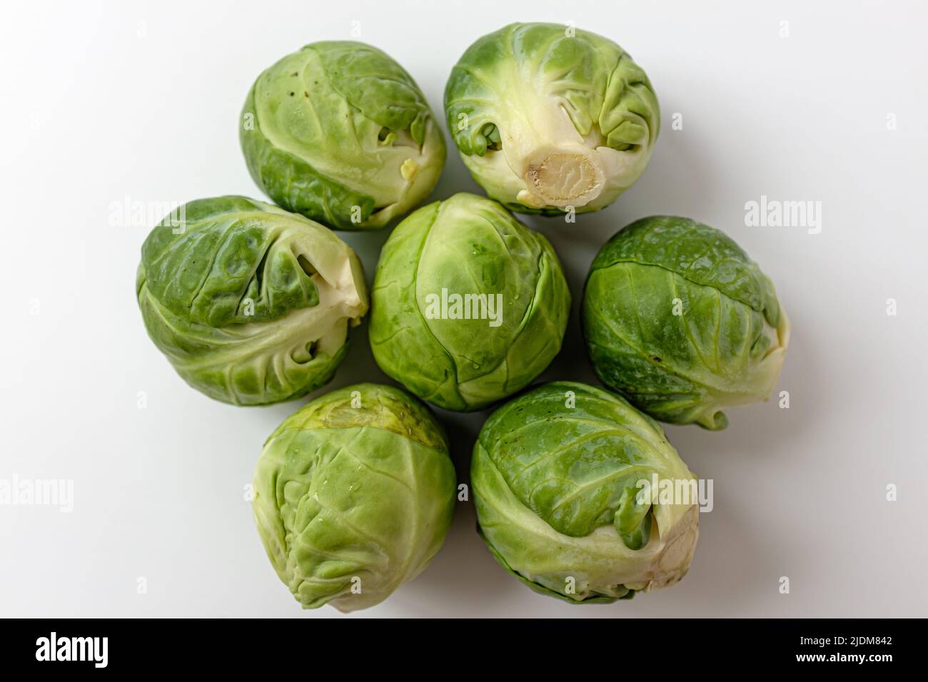 Mini Cabbage Brussels Sprouts on White Background Stock Photo - Alamy