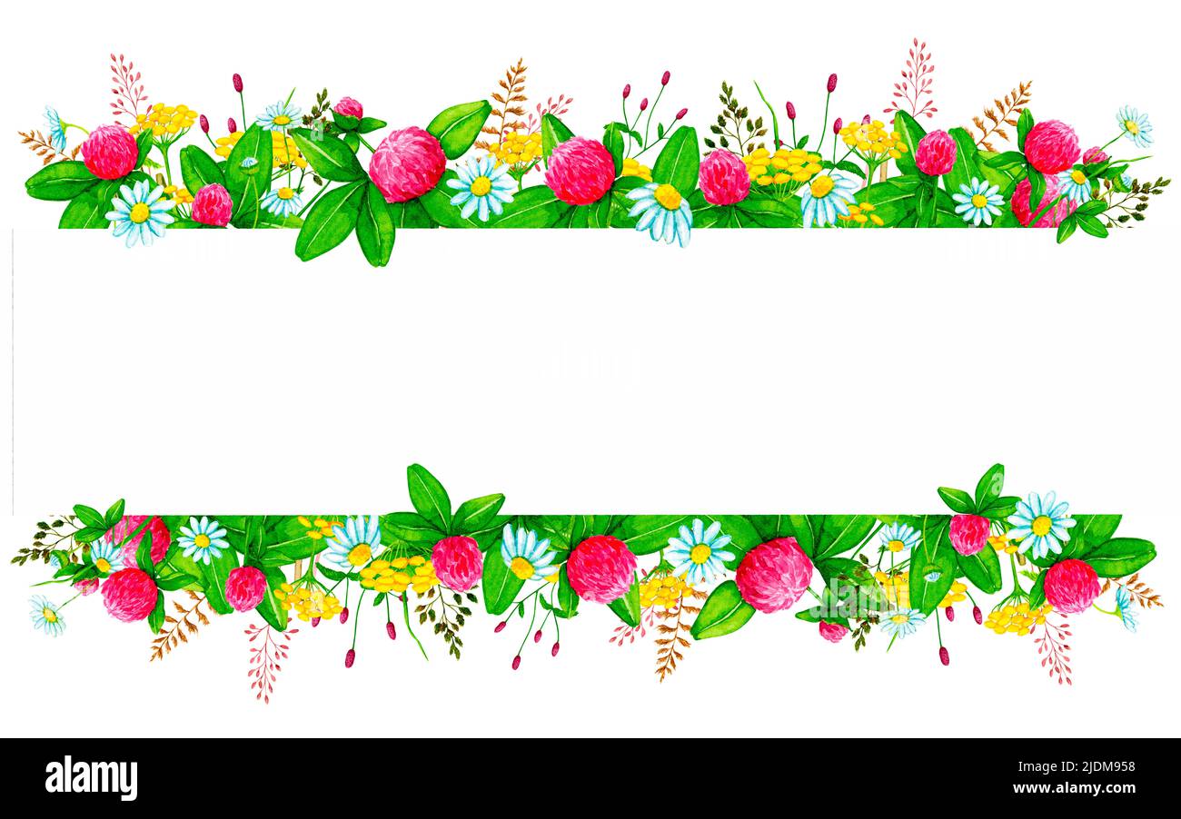 Wildflower border Cut Out Stock Images & Pictures - Alamy