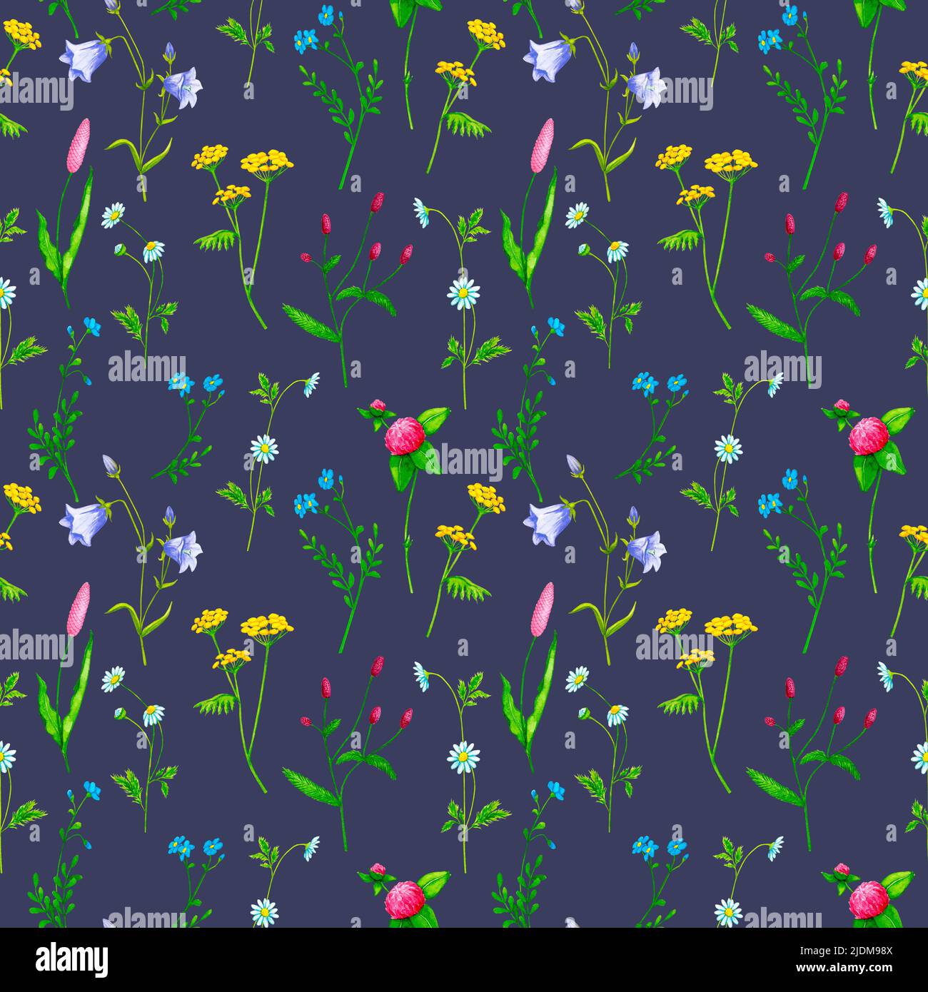 Seamless pattern. Watercolor wildflowers and wild meadow herbs on a ...
