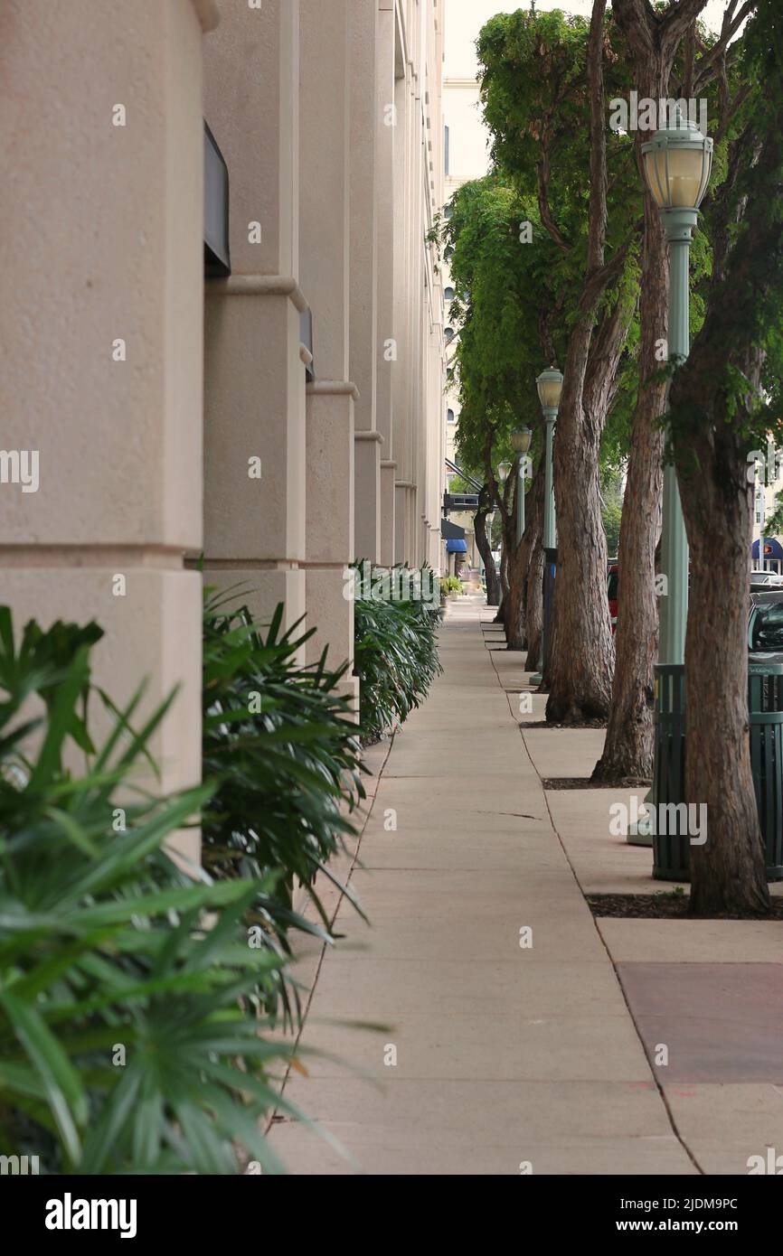 A row of elegant beautiful columns marching down the city sidewalk ...
