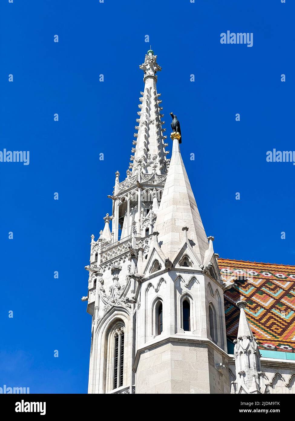 Raven holding a golden ring on a spire of Matthias Church tower at the ...