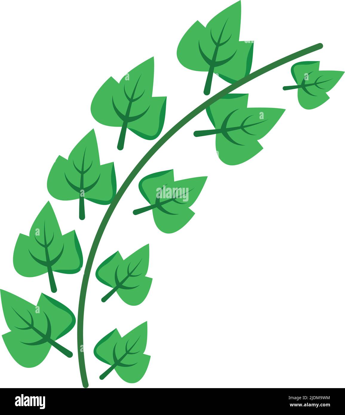 Grape branch icon cartoon Stock Vector Images - Alamy