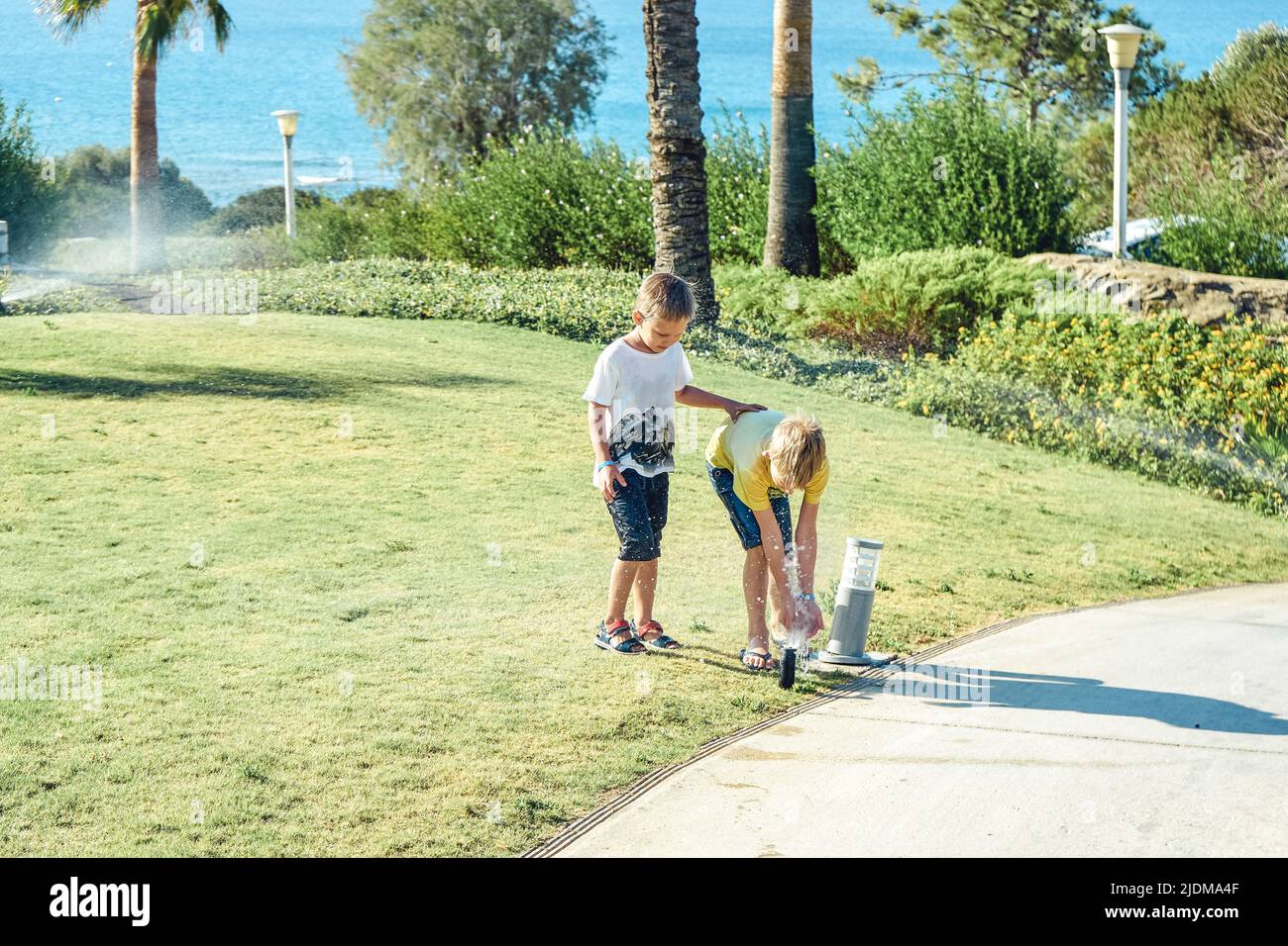Brothers in soaking wet clothes play with watering system near green ...
