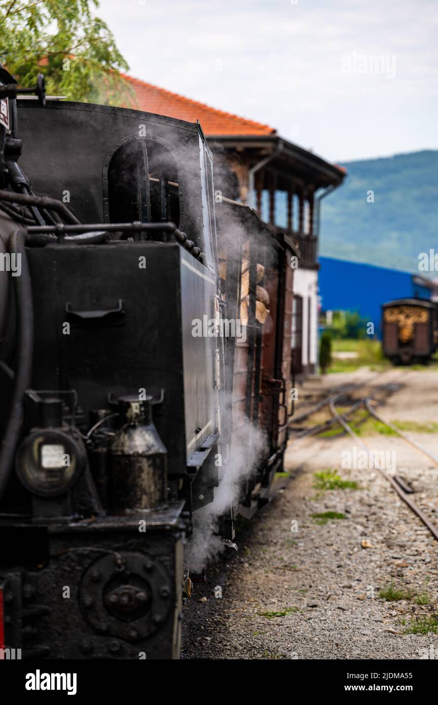Viseu de Sus, Maramures, Romania - June 13, 2022: Steam train Mocanita ...