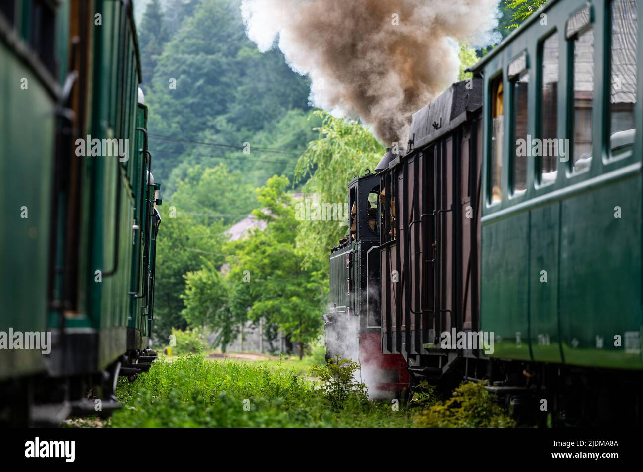 Viseu de Sus, Maramures, Romania - June 13, 2022: Steam train Mocanita ...