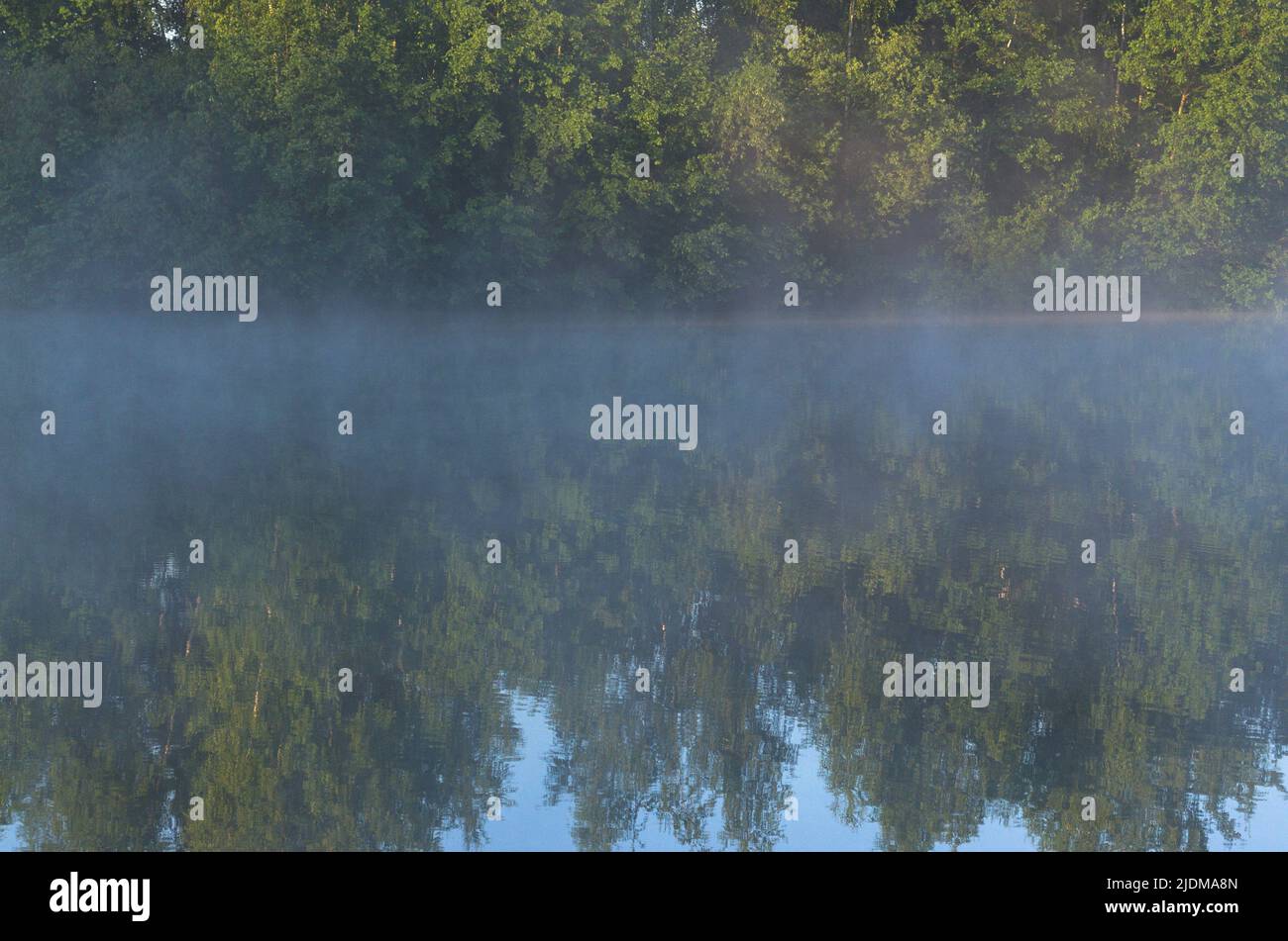 Trees reflected on water surface. Transparent mist cover the water ...