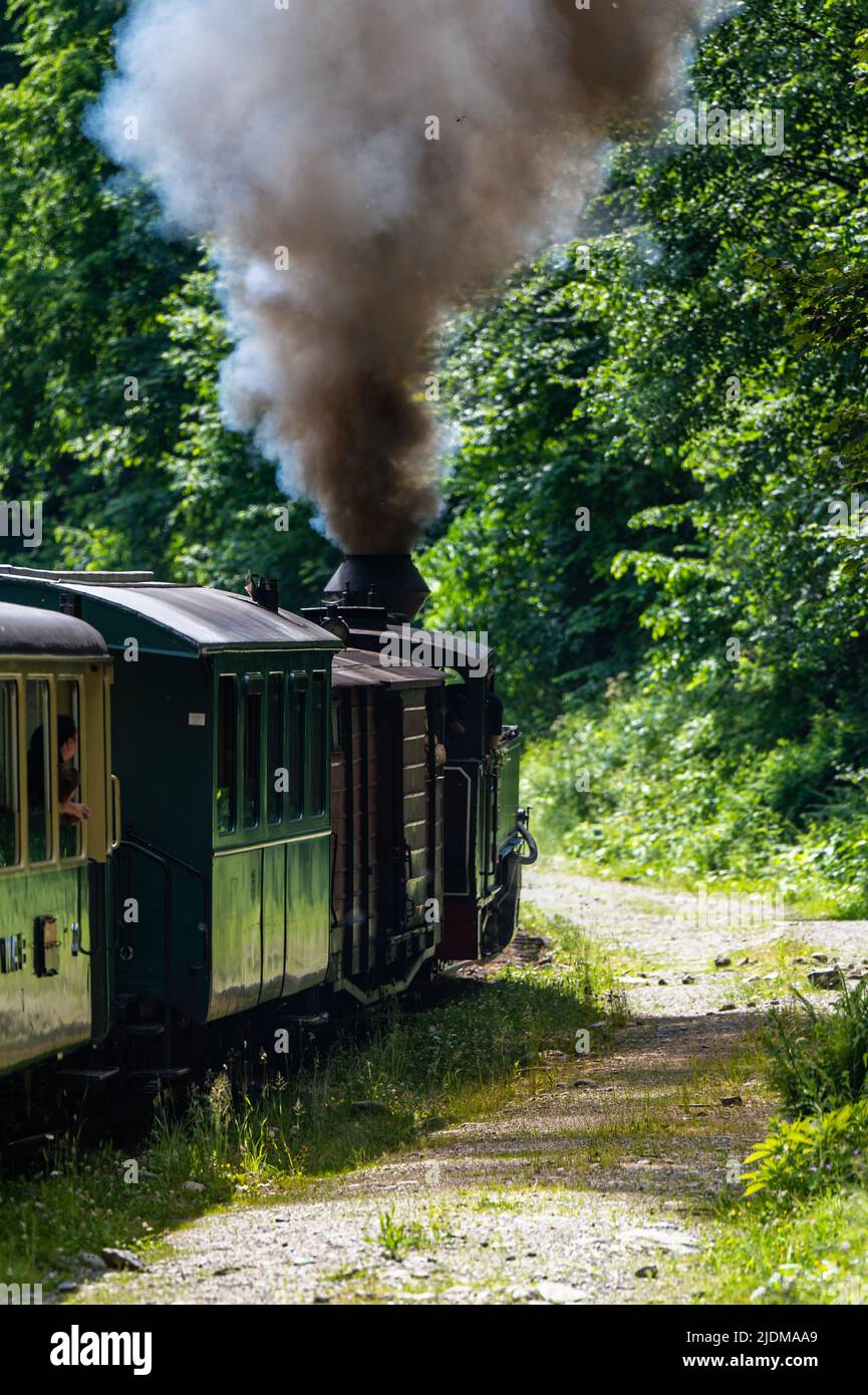 Viseu de Sus, Maramures, Romania - June 13, 2022: Steam train Mocanita ...