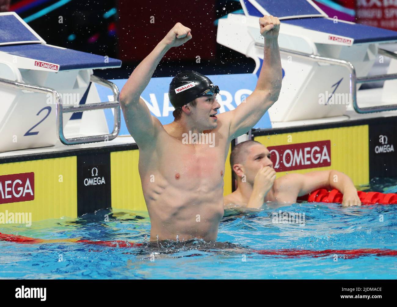 Gold fink hi-res stock photography and images - Alamy