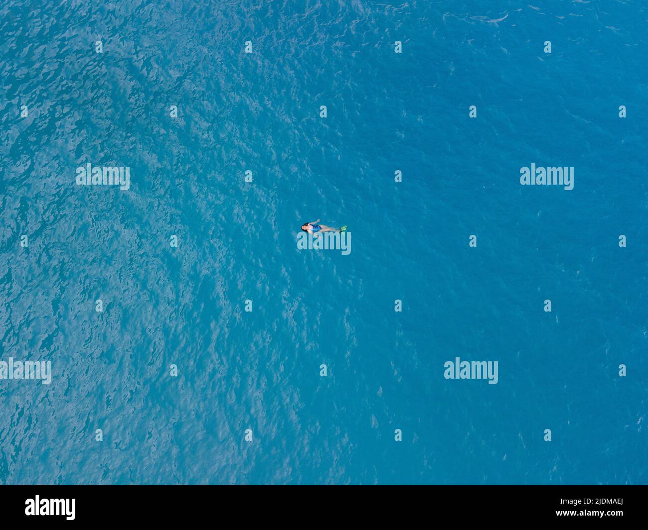overhead view of woman swimming in flippers in blue sea water Stock ...