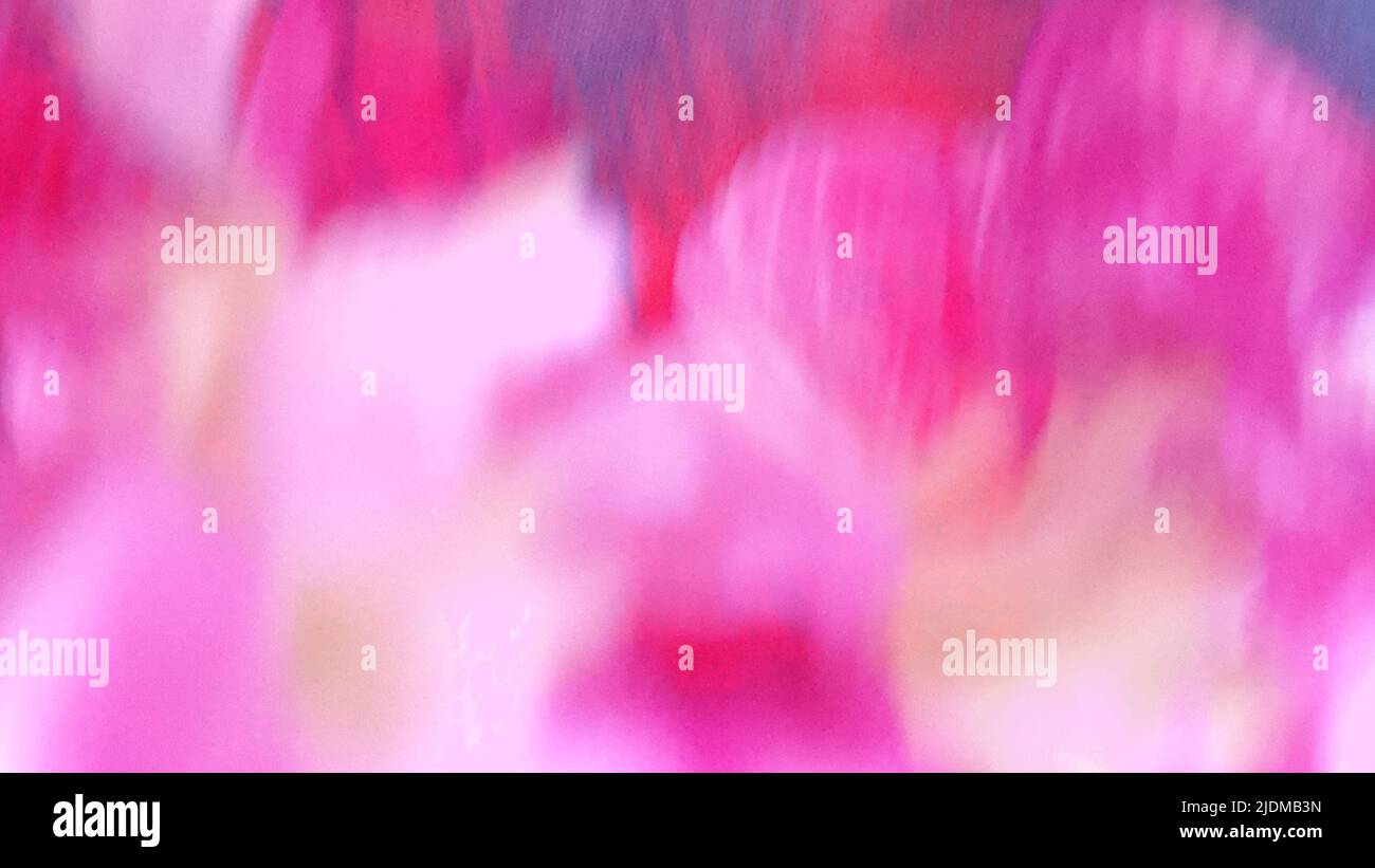 Pink petal abstract Stock Photo - Alamy