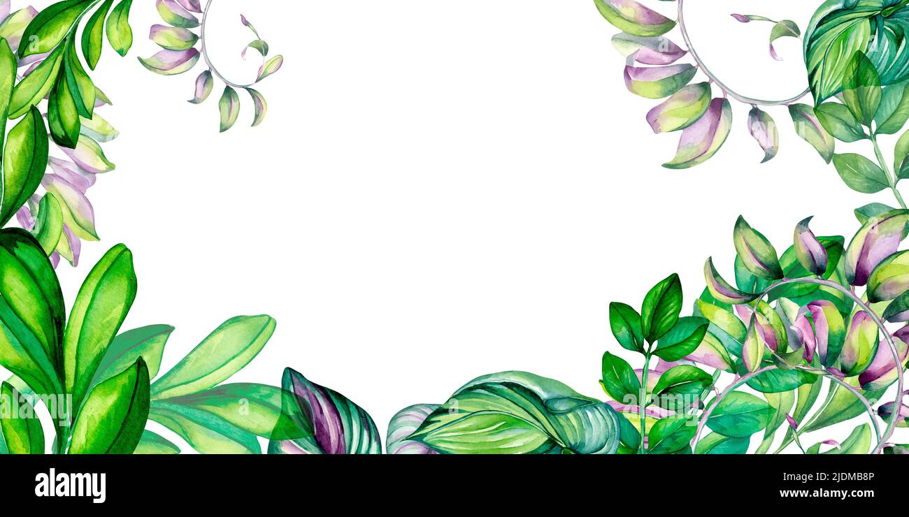 Board of multicolor tropical pink leaves, colorful summer foliage ...