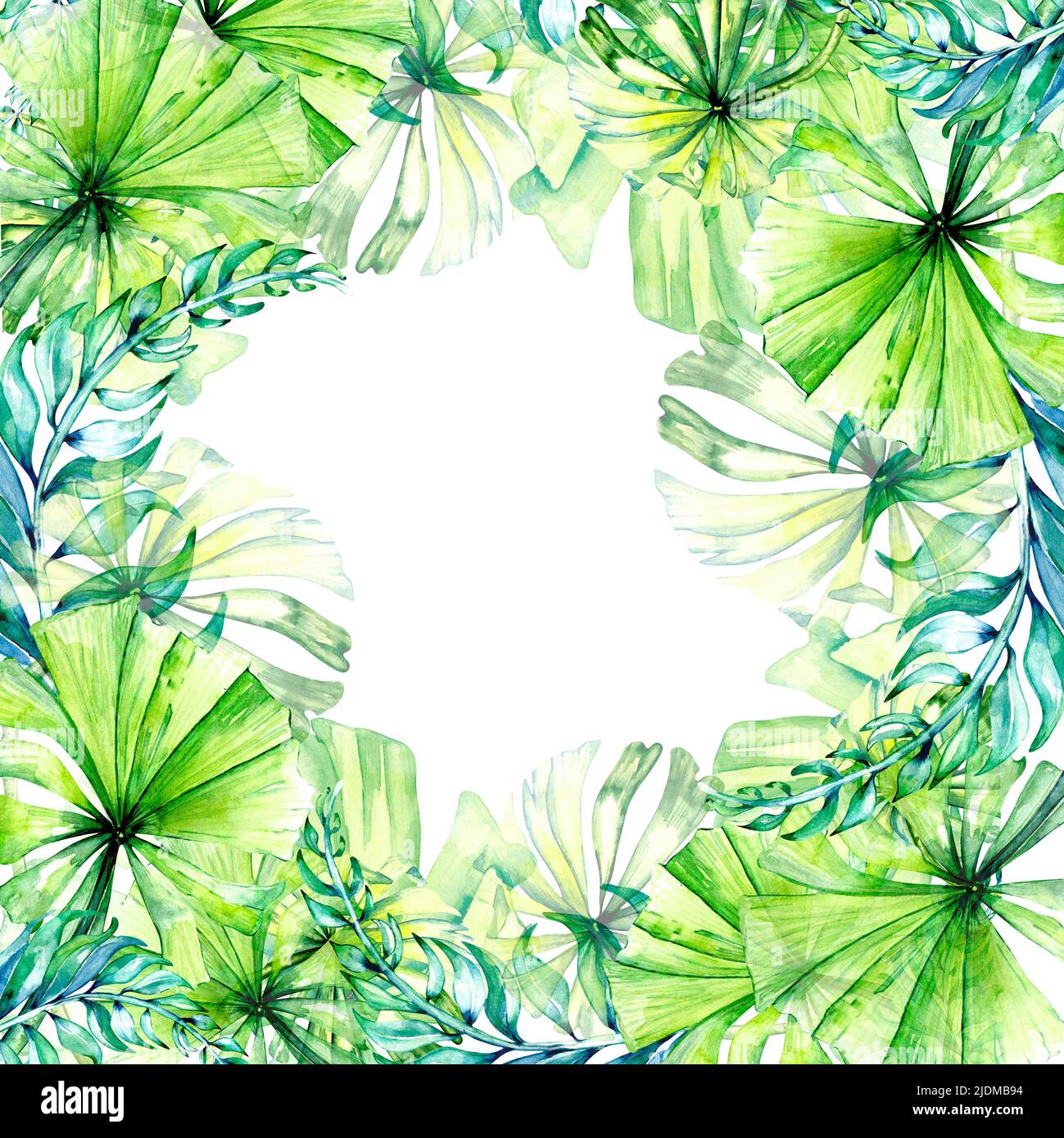 Exotic multicolor plants, tropical leaves, palm tree frame watercolor ...