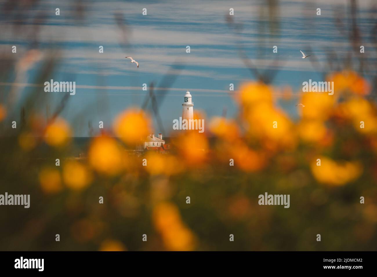 The lighthouse at whitley bay hi-res stock photography and images - Alamy