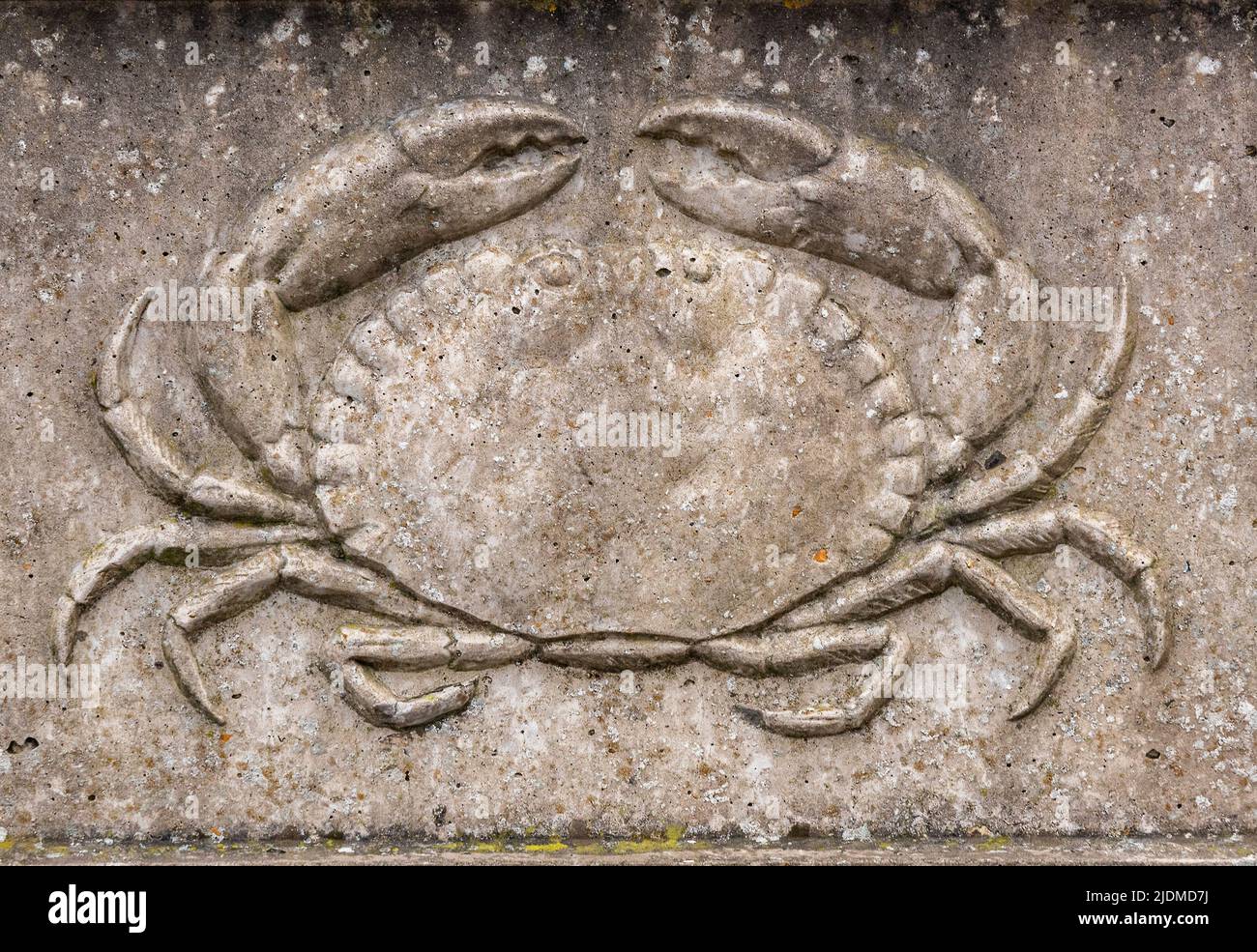 carved stone crab. shellfish crustacean carved into a stone wall at the ...