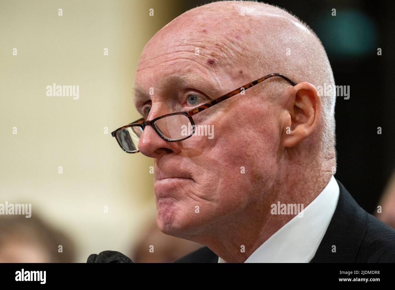 Rusty Bowers, Arizona House Speaker, gives testimony before the United ...