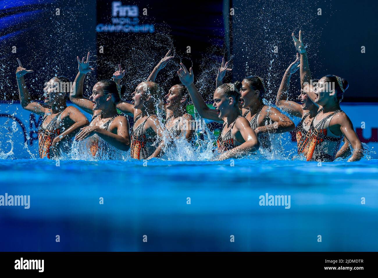 Team ukraine artistic swimming hi-res stock photography and images - Alamy