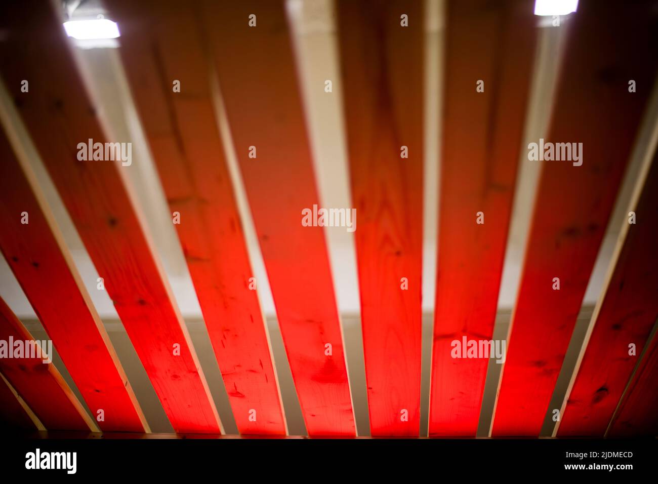 Dark tree corridor hi-res stock photography and images - Alamy