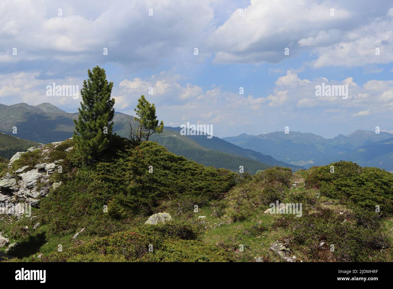 view over the Zillertaler alps Stock Photo - Alamy