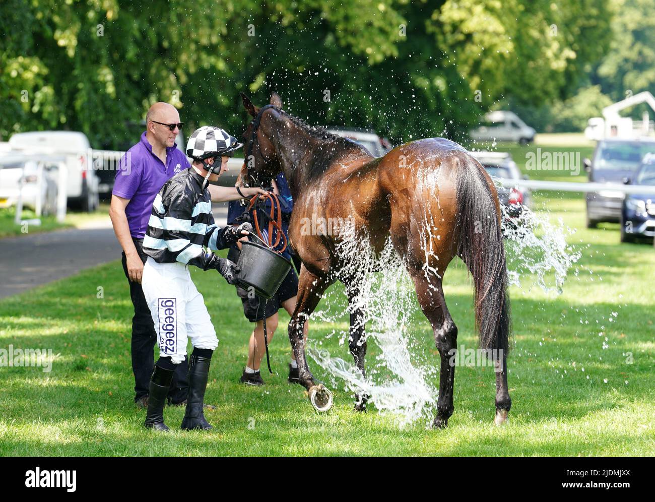 Rex dingle hi-res stock photography and images - Alamy